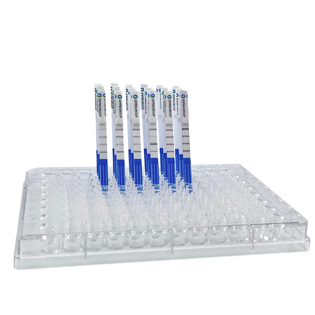 Human IgG Fc Lateral Flow Dipstick Assay Kit | Cytodiagnostics US