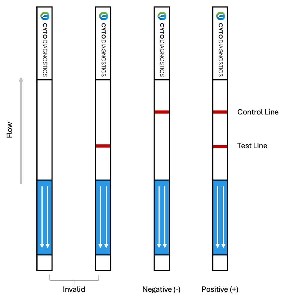 Biotin Detection Lateral Flow Assay Kit | Cytodiagnostics US