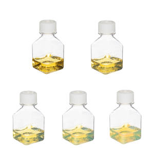 Silver Nanoparticles Introduction Kit (10nm-50nm) | Cytodiagnostics US